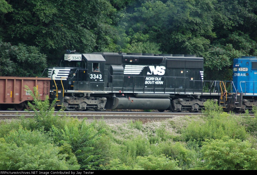 NS 3343